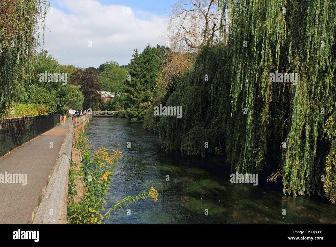 River Itchen Winchester, Hampshire, England, UK Stock Photo - Alamy