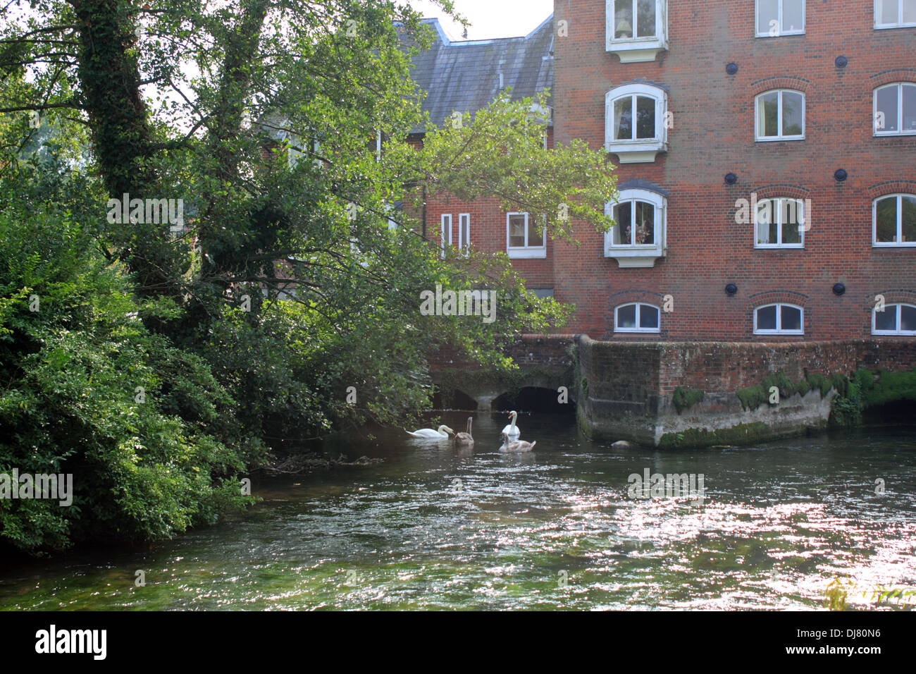 River Itchen Winchester, Hampshire, England, UK Stock Photo - Alamy
