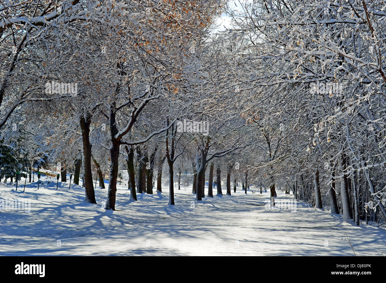Snow in April Stock Photo - Alamy