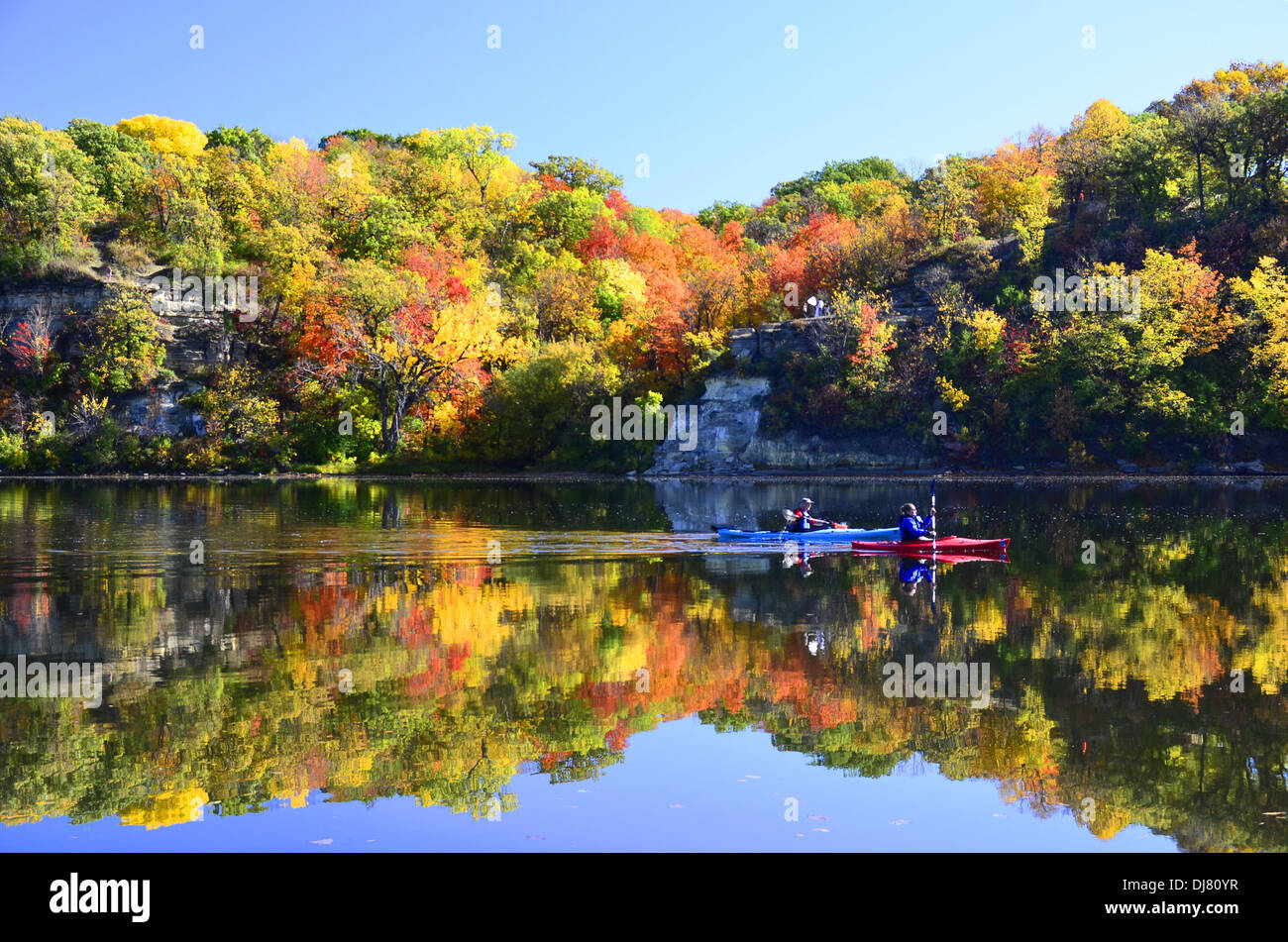Threes birds hi-res stock photography and images - Alamy