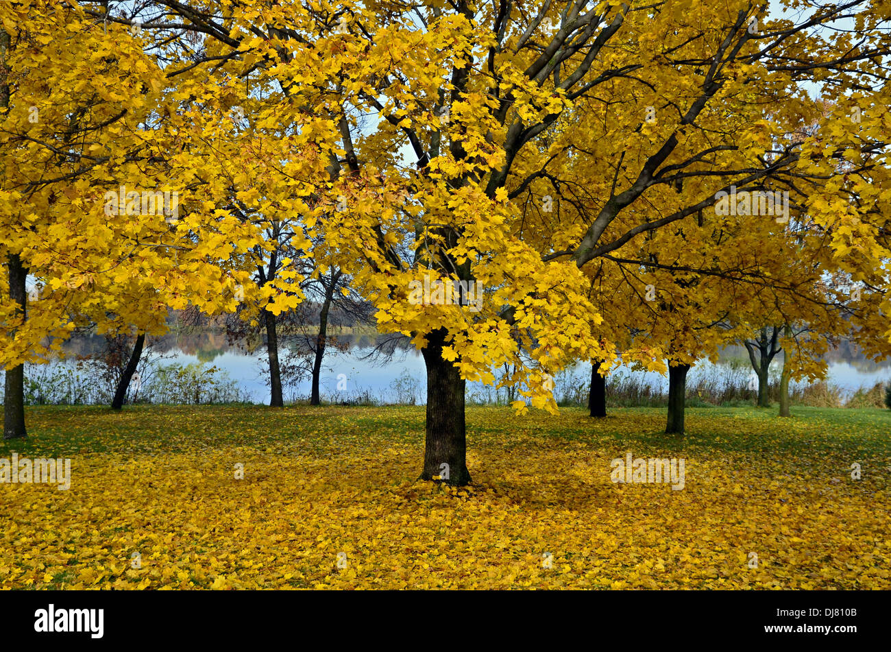 Threes of yellow hi-res stock photography and images - Alamy