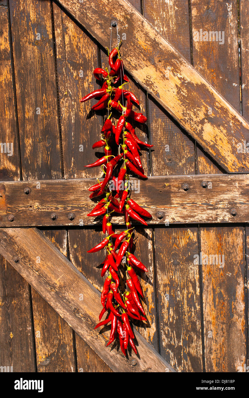 Bunch of chili hi-res stock photography and images - Alamy