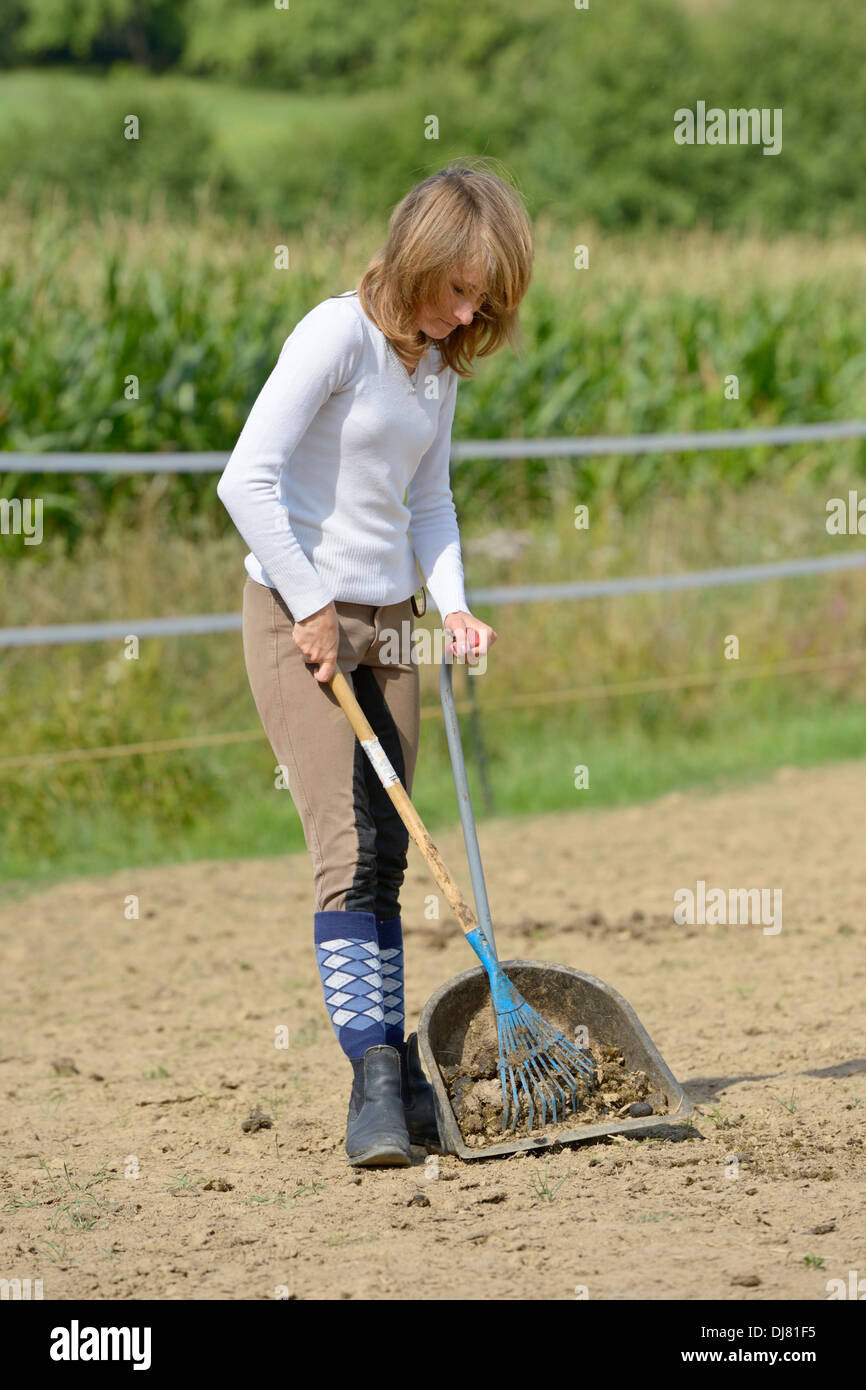 Mucking out paddock hi-res stock photography and images - Alamy