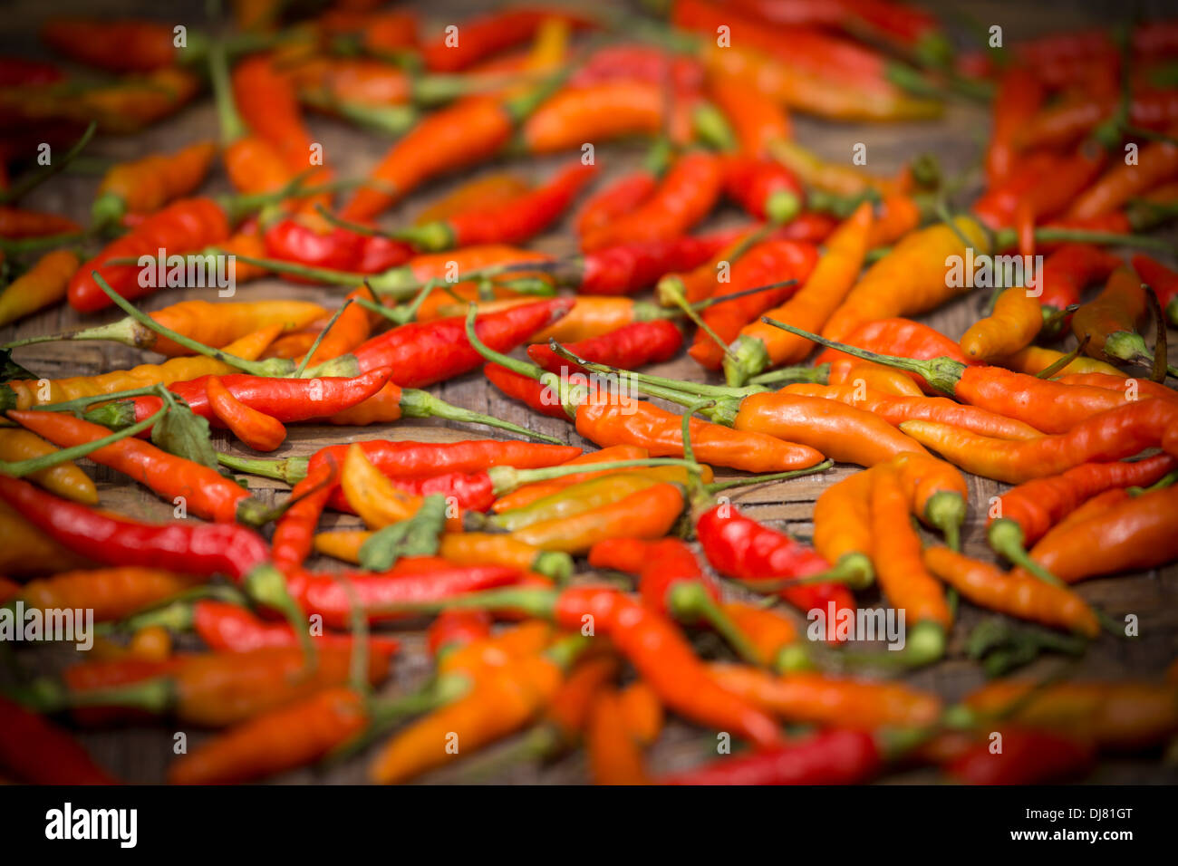 Drying chili in the sun in Vang Vieng, Laos Stock Photo - Alamy