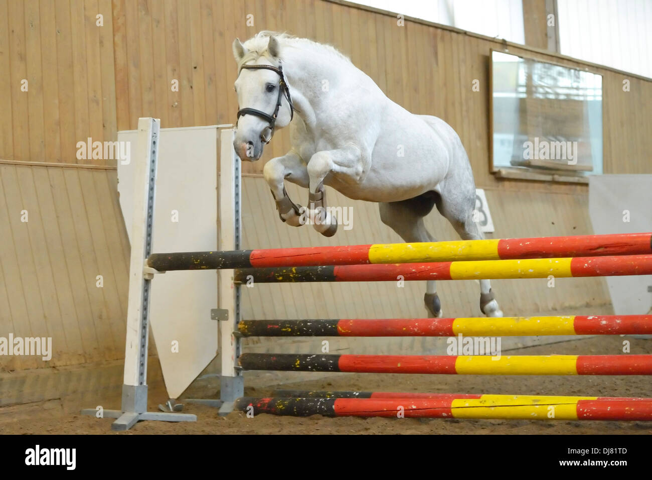 Horse jumping hi-res stock photography and images - Alamy