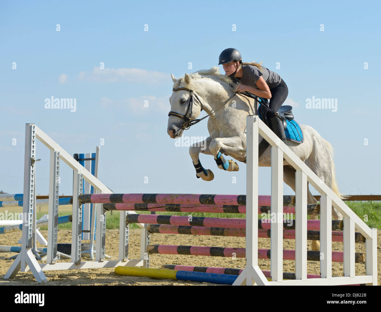 Connemara pony jumping hi-res stock photography and images - Alamy