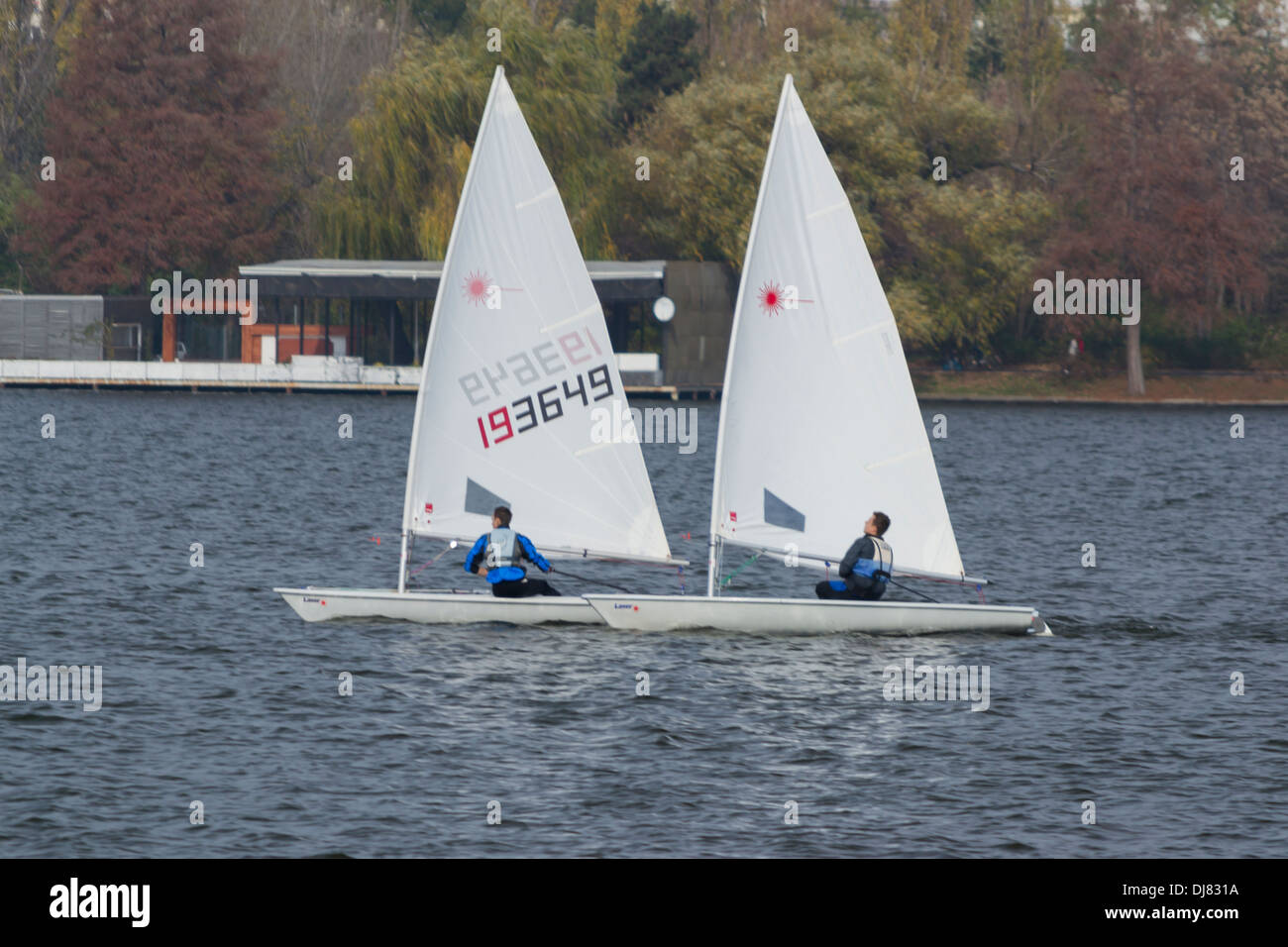 Laser Standard sailboats sailing in the early morning on Herastrau Lake ...