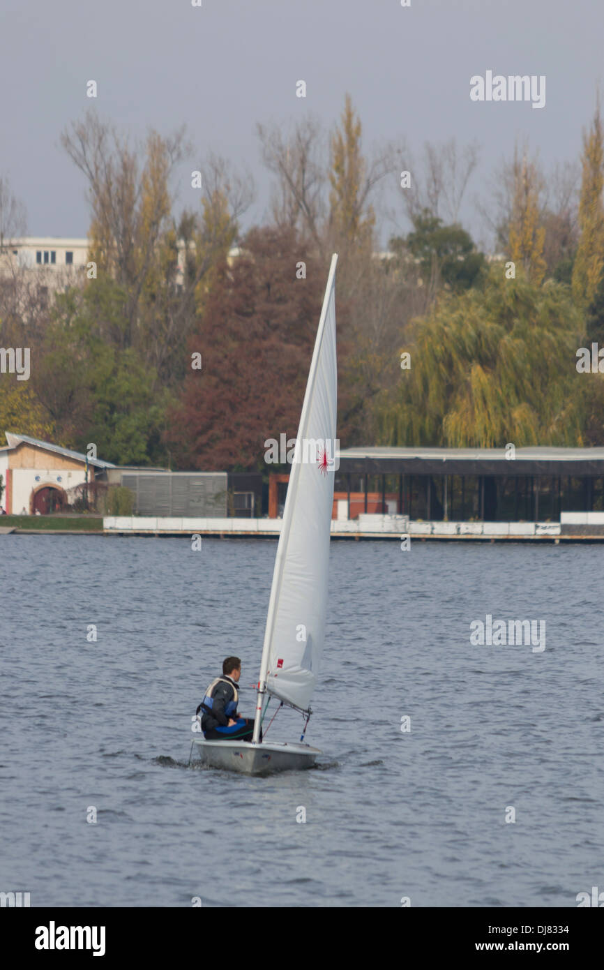 Laser Standard sailboat sailing in the early morning on Herastrau Lake ...