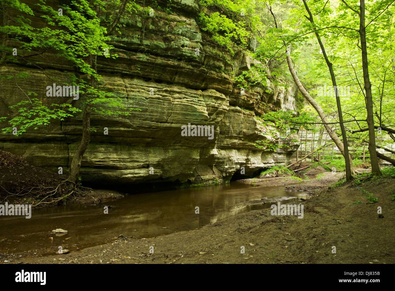 Illinois Canyon. Starved Rock State Park Illinois Stock Photo - Alamy