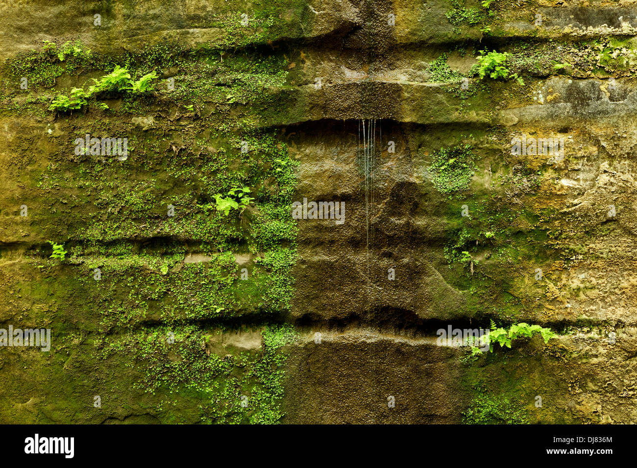 Sandstone cliff face hi-res stock photography and images - Alamy