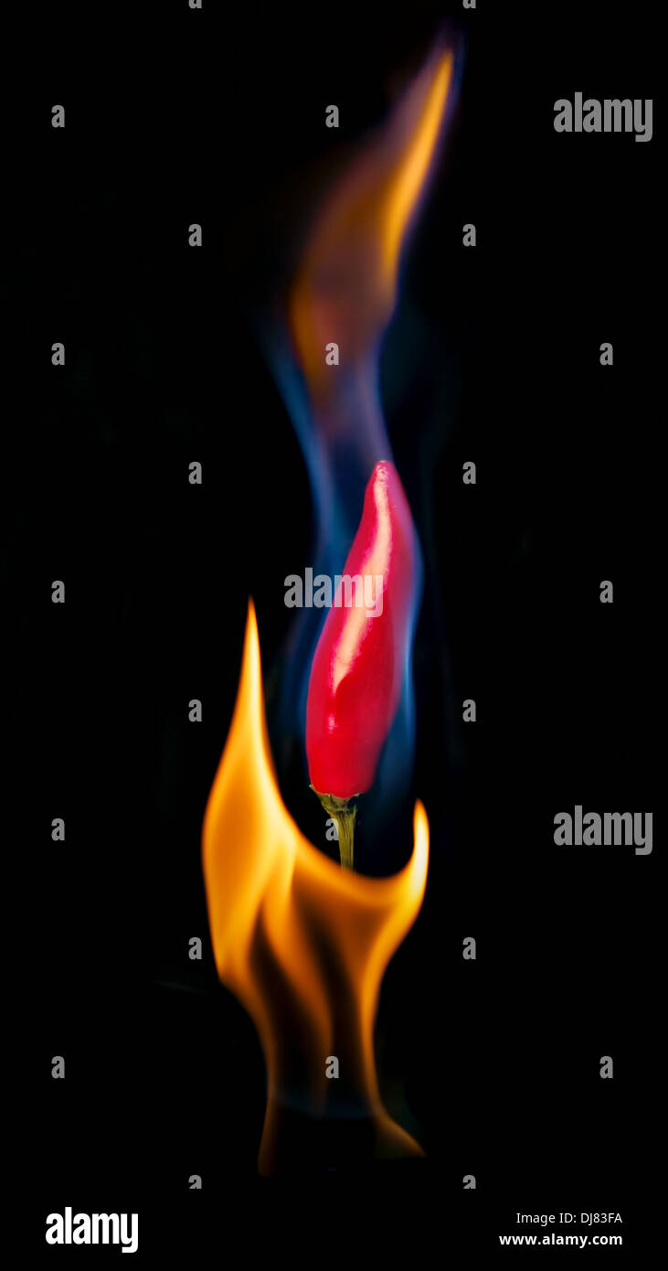 Flaming red chili pepper hi-res stock photography and images - Alamy