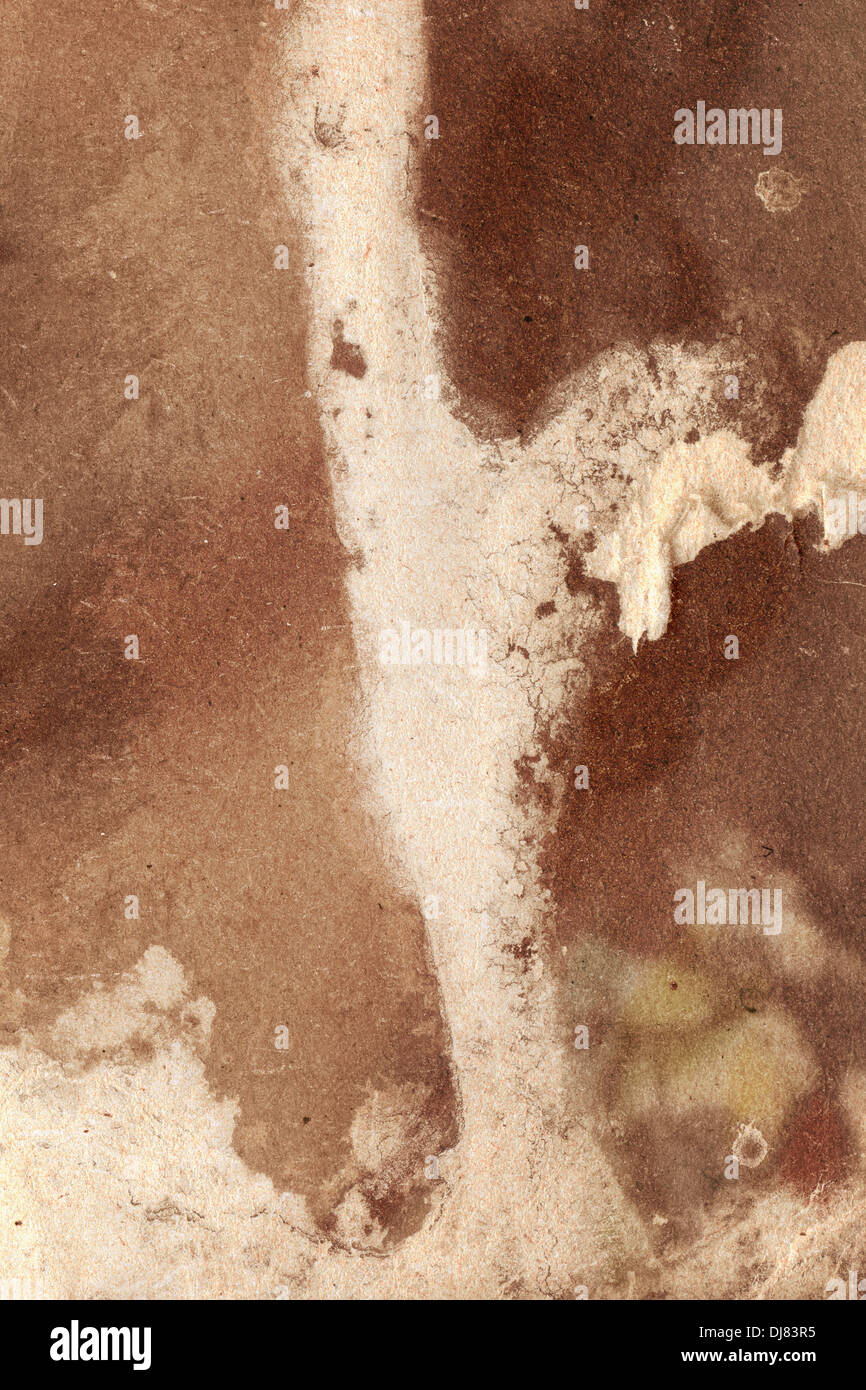 Aged Paper. High resolution damaged paper texture Stock Photo - Alamy