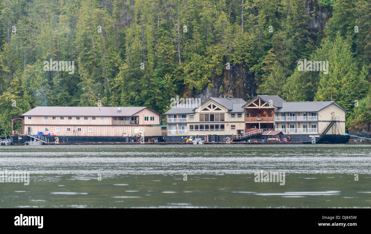 King Pacific Lodge, Barnard Harbor, Princess Royal Island, mid-coast ...