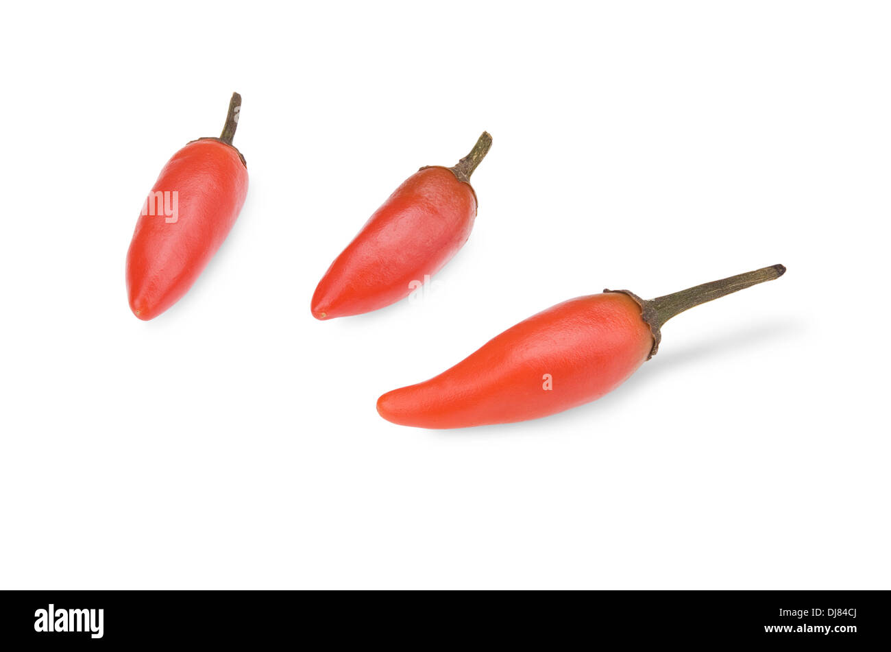 red hot chilli pepper isolated on a white background Stock Photo - Alamy