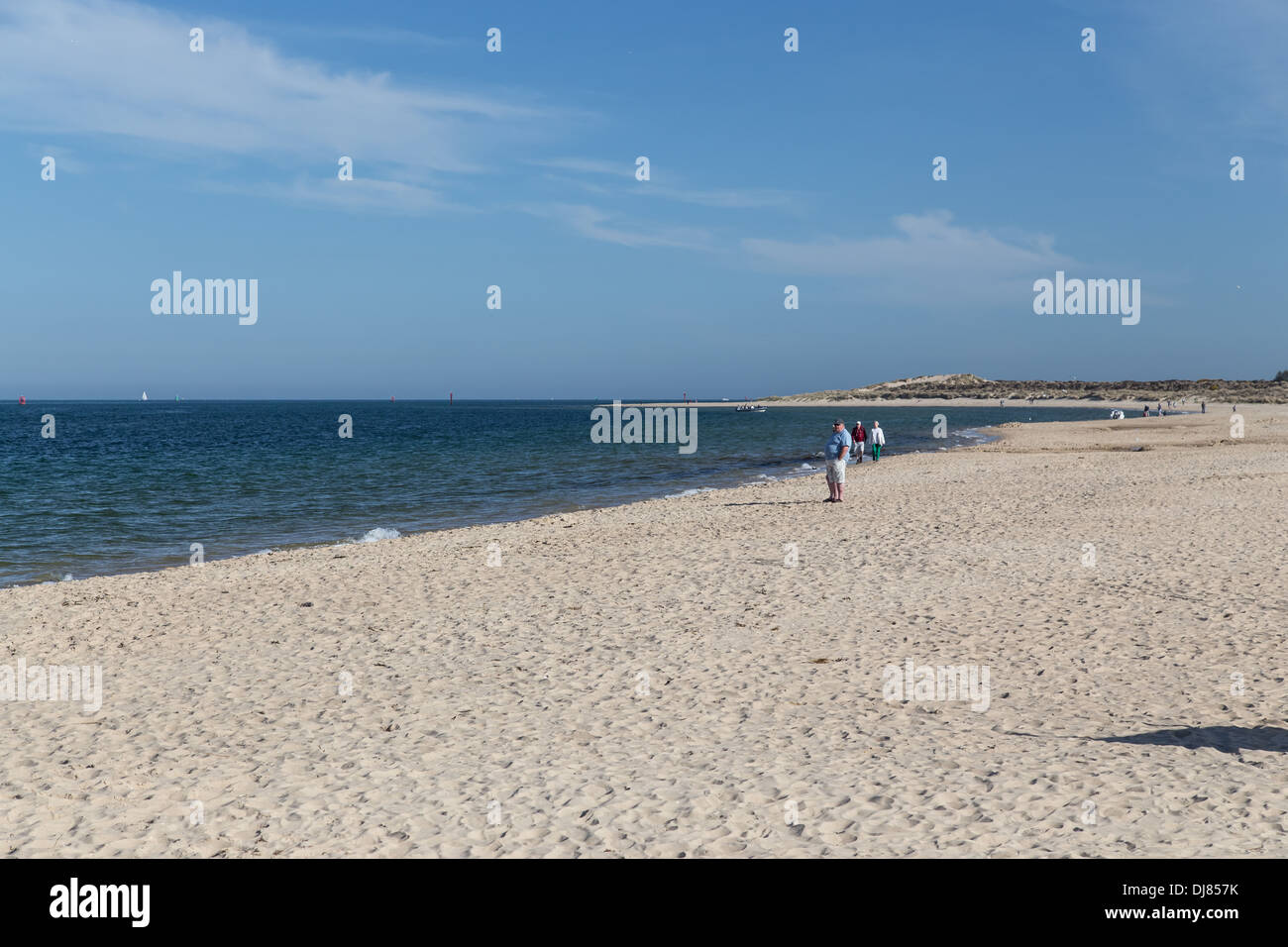 Shell Bay Beach, Studland, Poole Harbour. England. UK Stock Photo - Alamy