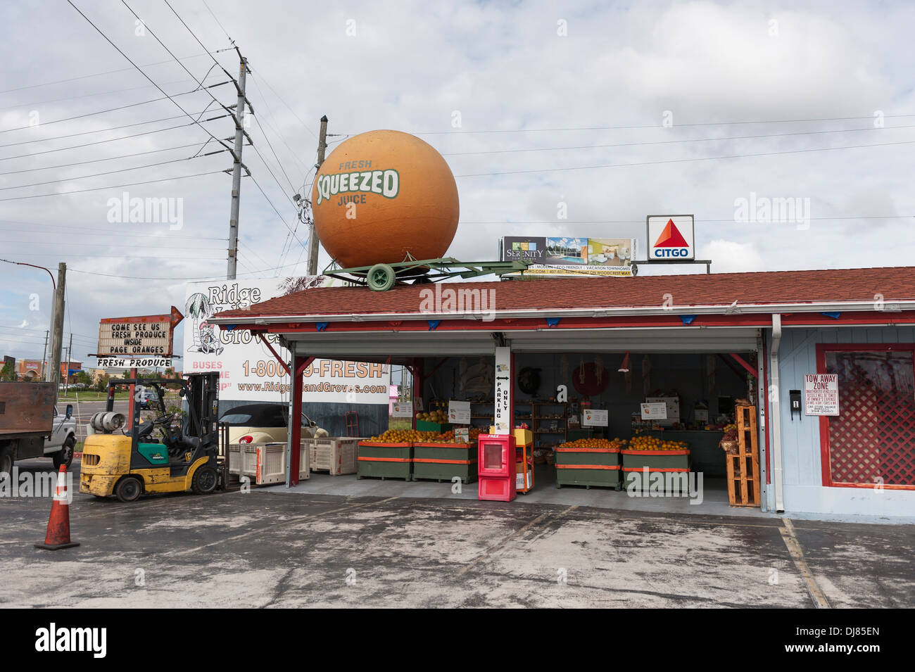 Citrus display hi-res stock photography and images - Alamy