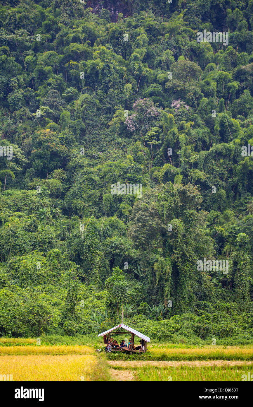 Laos countryside hi-res stock photography and images - Alamy