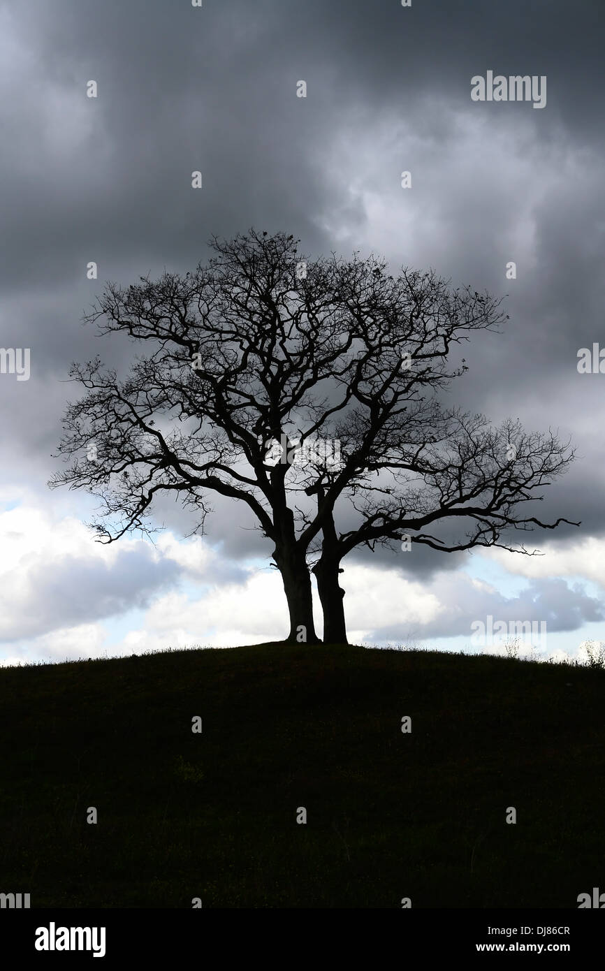 Sable hill hi-res stock photography and images - Alamy