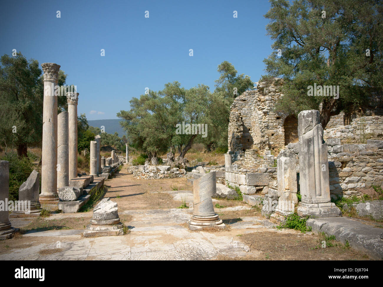 Ancient greek iasos turkey hi-res stock photography and images - Alamy