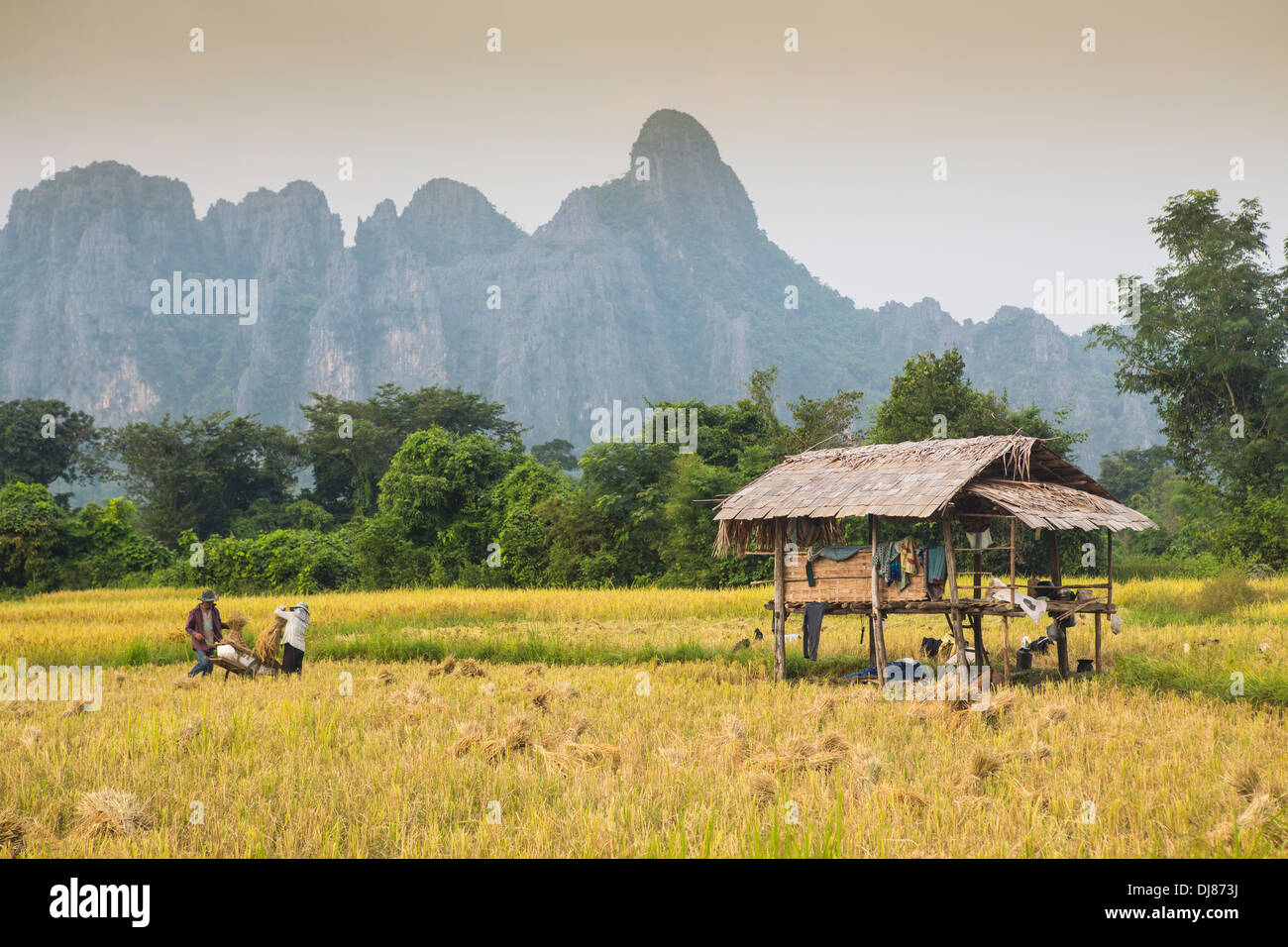 Laos countryside hi-res stock photography and images - Alamy