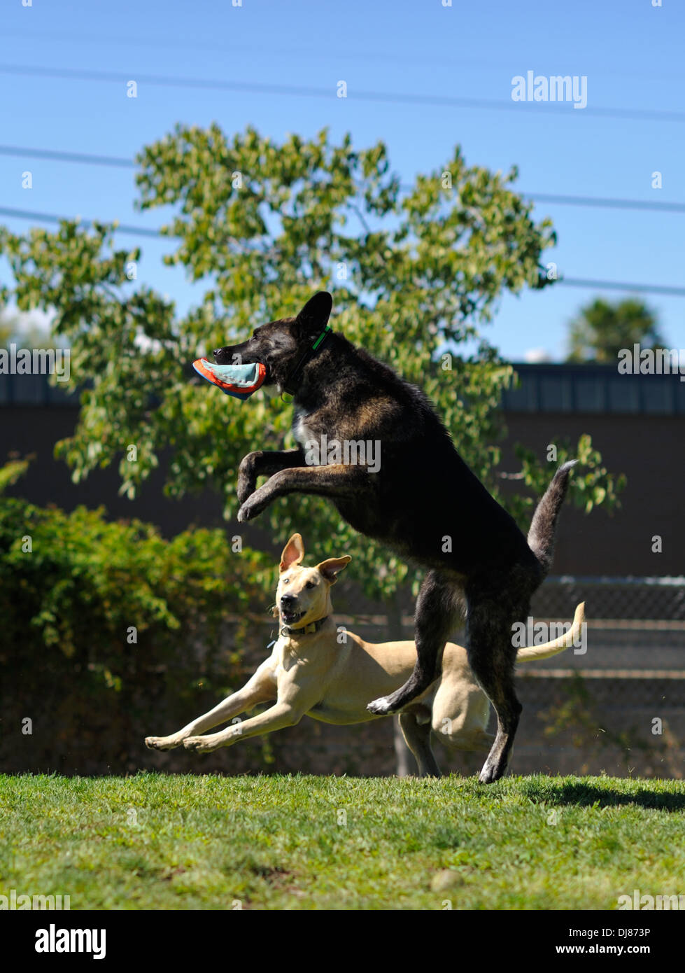 Therapeutic education hi-res stock photography and images - Alamy