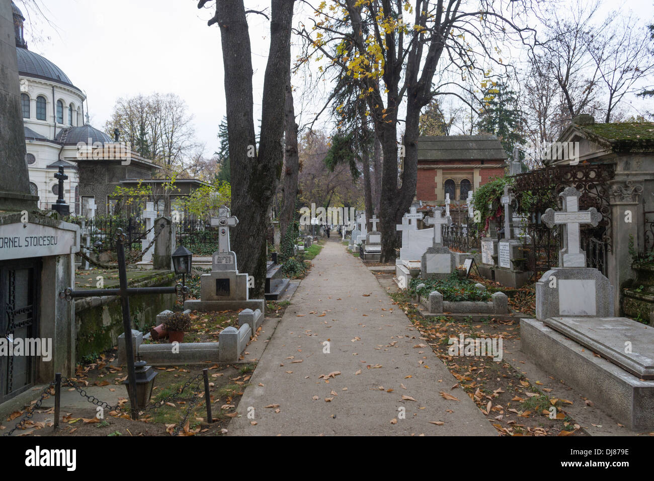 Barbu Bellu High Resolution Stock Photography and Images - Alamy