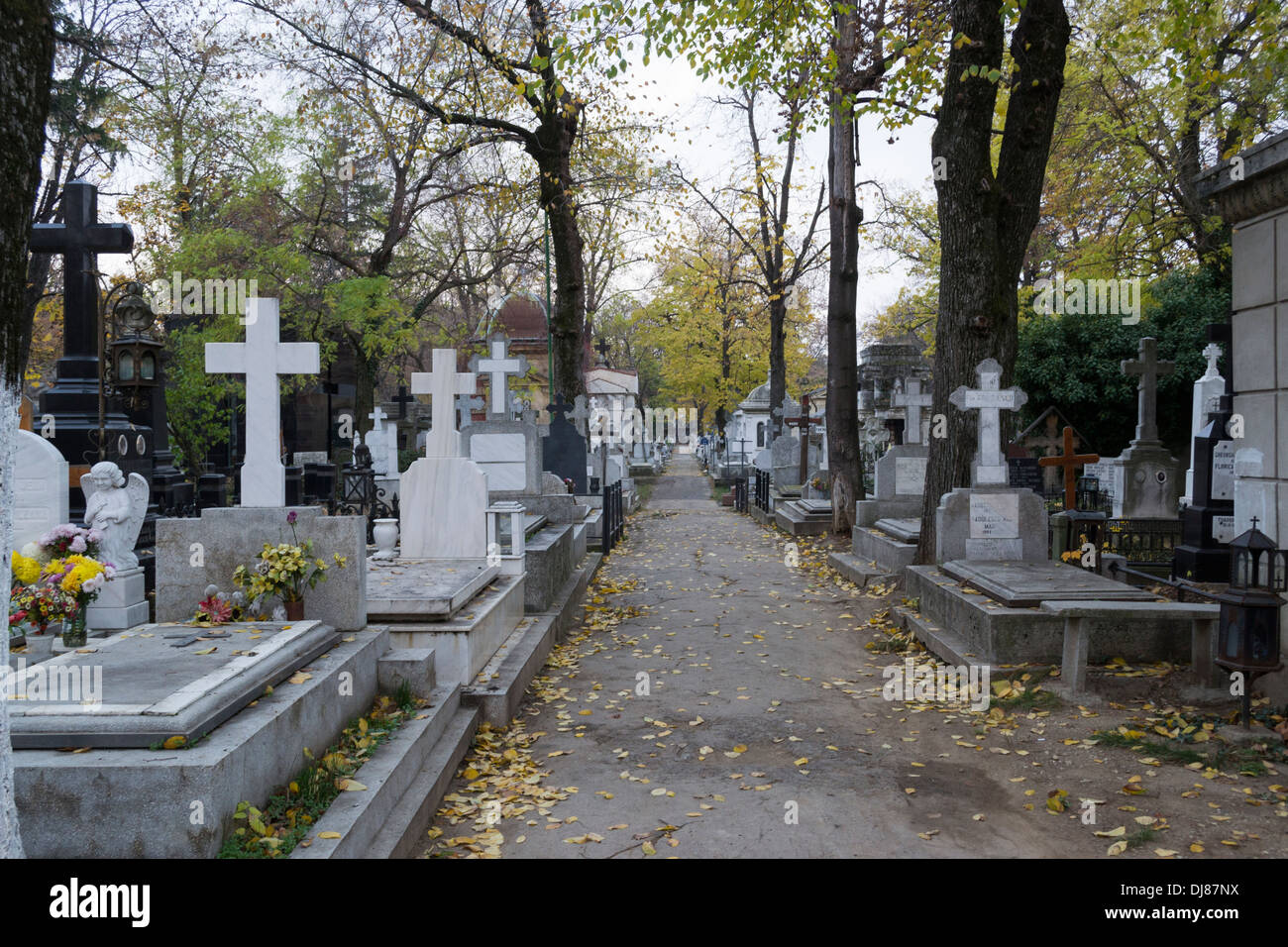 Bellu cemetery hi-res stock photography and images - Alamy