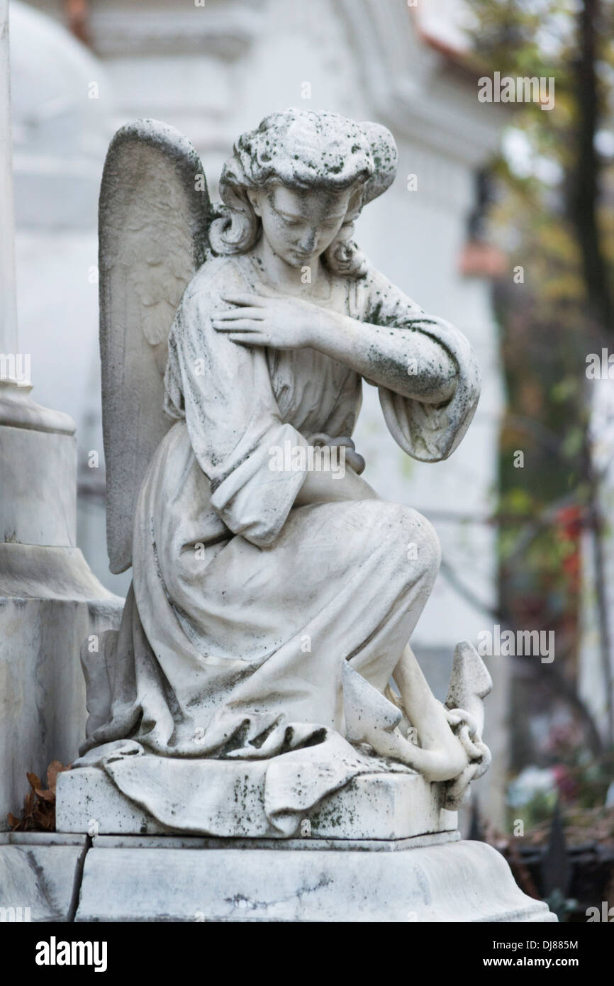 Barbu Bellu High Resolution Stock Photography and Images - Alamy