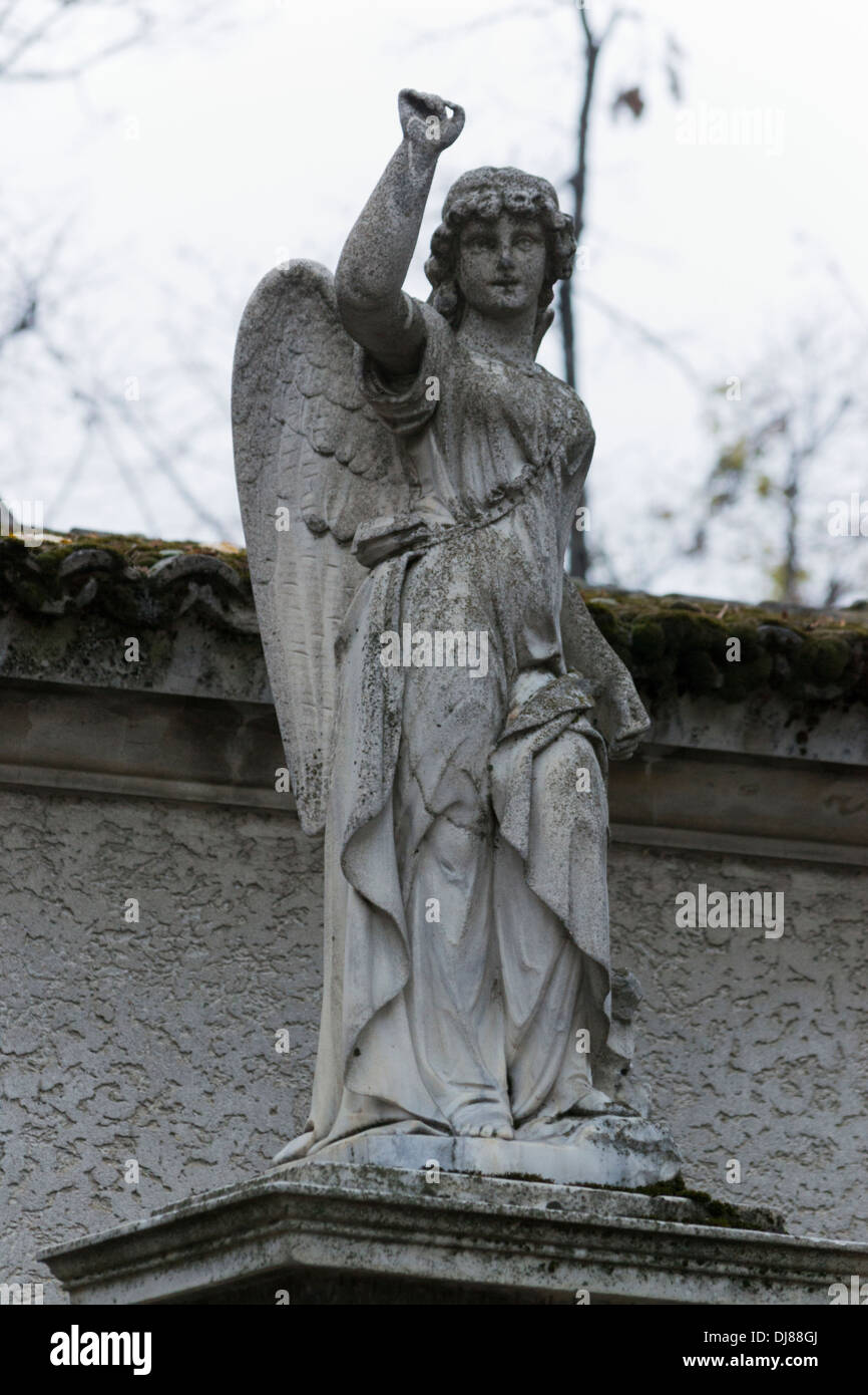 Barbu Bellu High Resolution Stock Photography and Images - Alamy