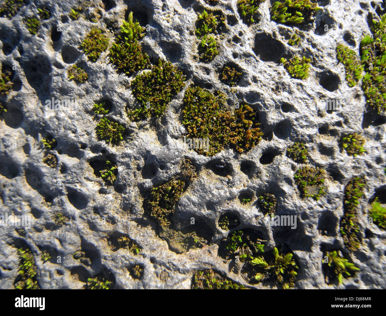 Volcanic basalt hi-res stock photography and images - Alamy