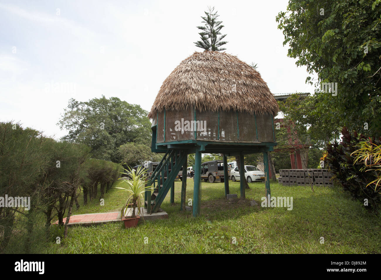 Nicobari hut, a Tribal hut, Andaman Island, India Stock Photo - Alamy