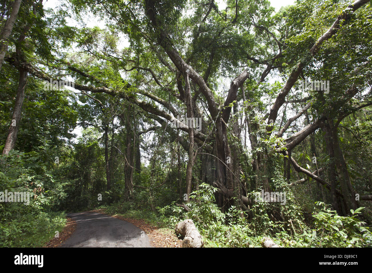 Mount harriet national park hi-res stock photography and images - Alamy