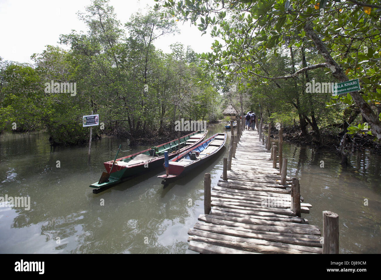 Wooden bridge on Baratang island, Andaman Islands, India Stock Photo ...