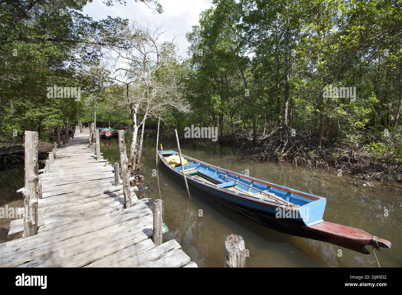 Wooden bridge on Baratang island, Andaman Islands, India Stock Photo ...