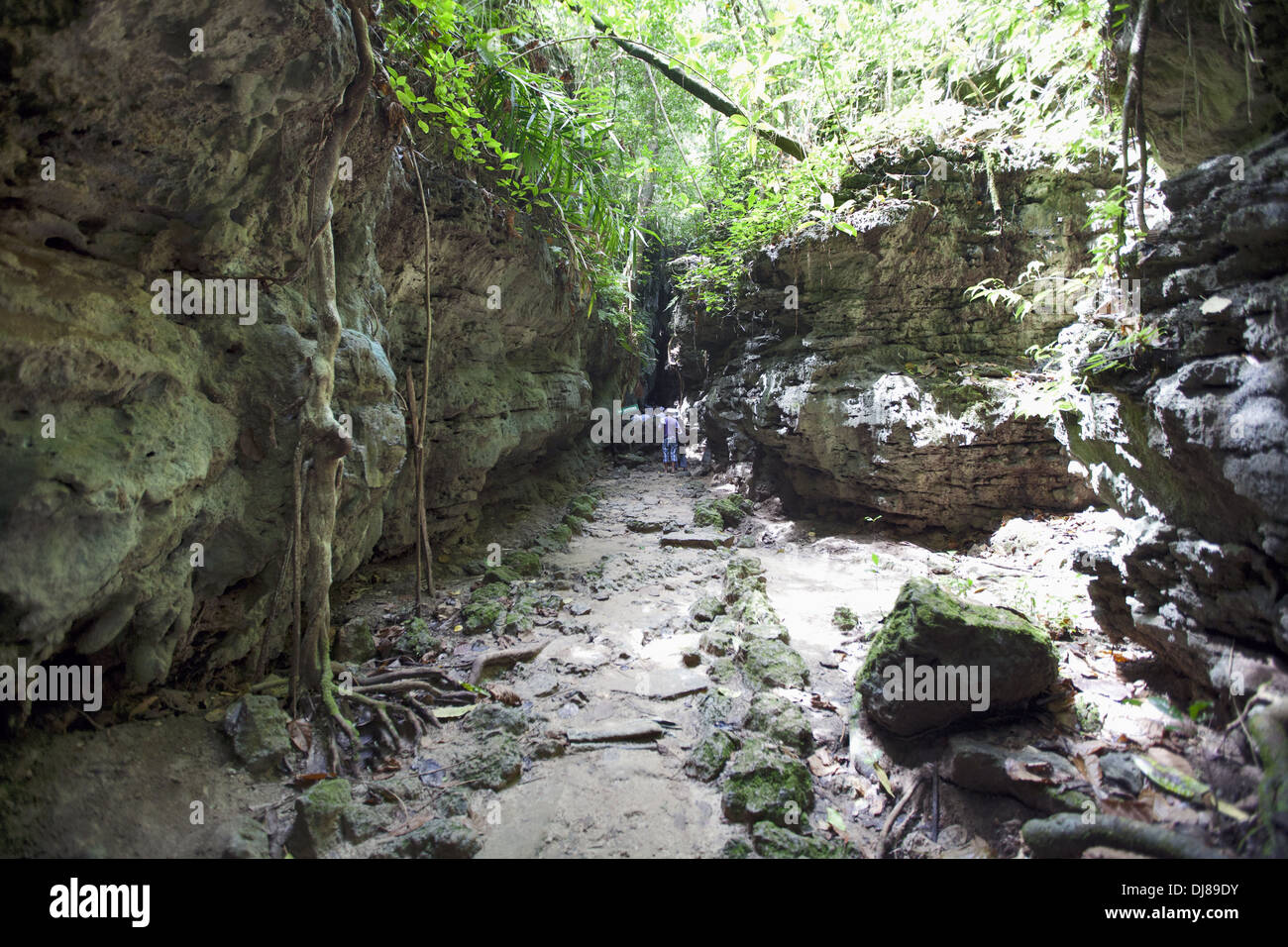 Way through Limestone caves, Baratang island, Andaman Islands, India ...