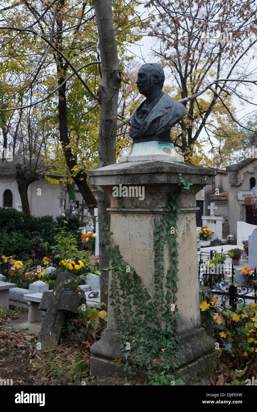 Barbu bellu hi-res stock photography and images - Alamy