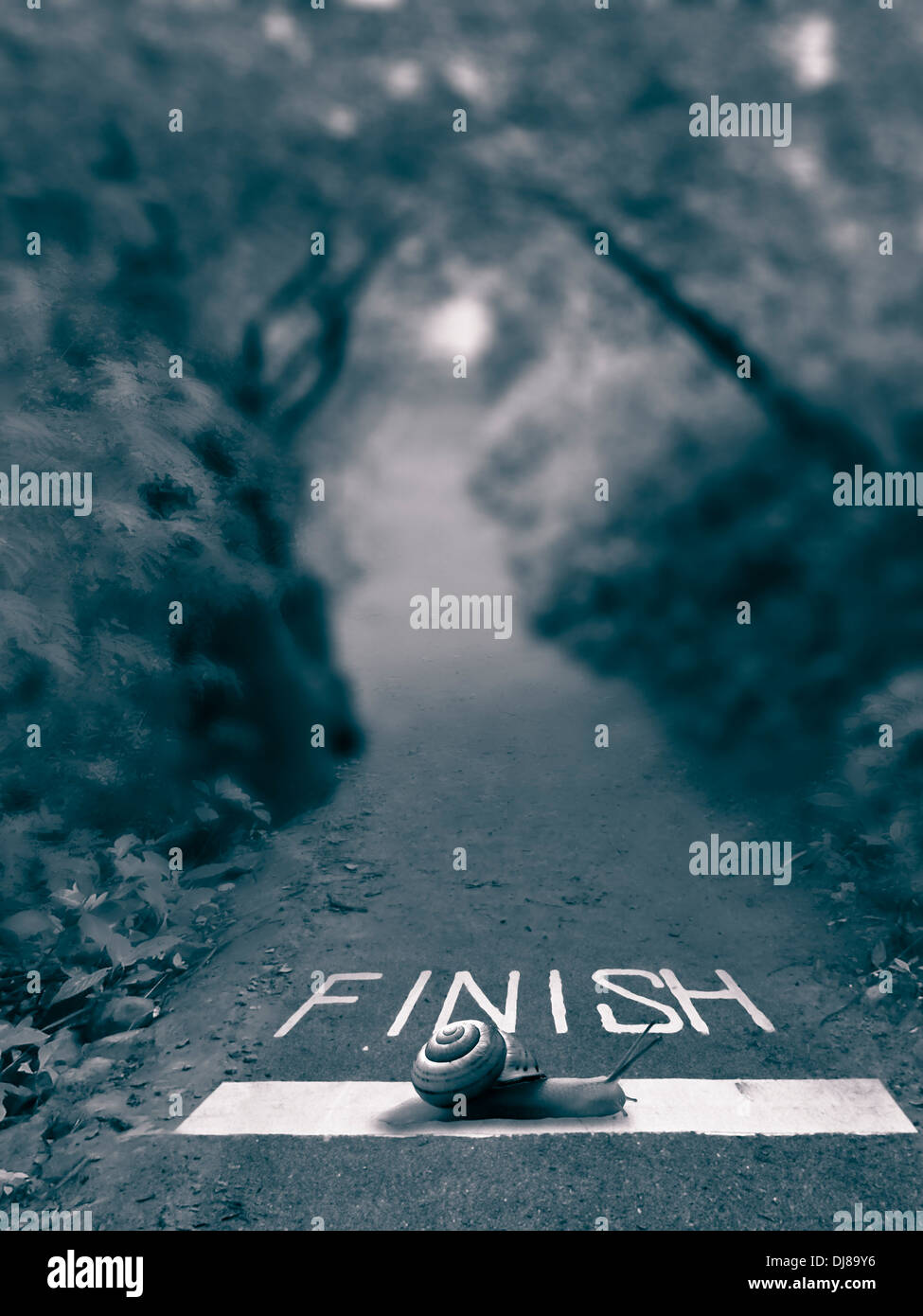 Snail going over the finish line, Concept Stock Photo - Alamy