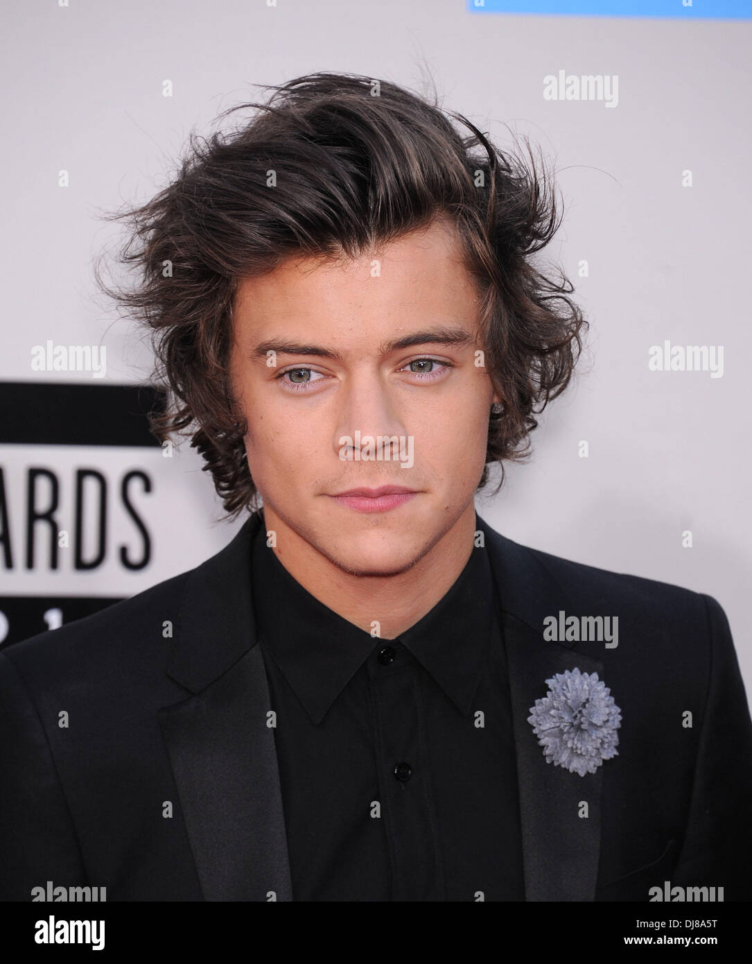 Los Angeles, California, USA. 24th Nov, 2013. Harry Styles (One ...