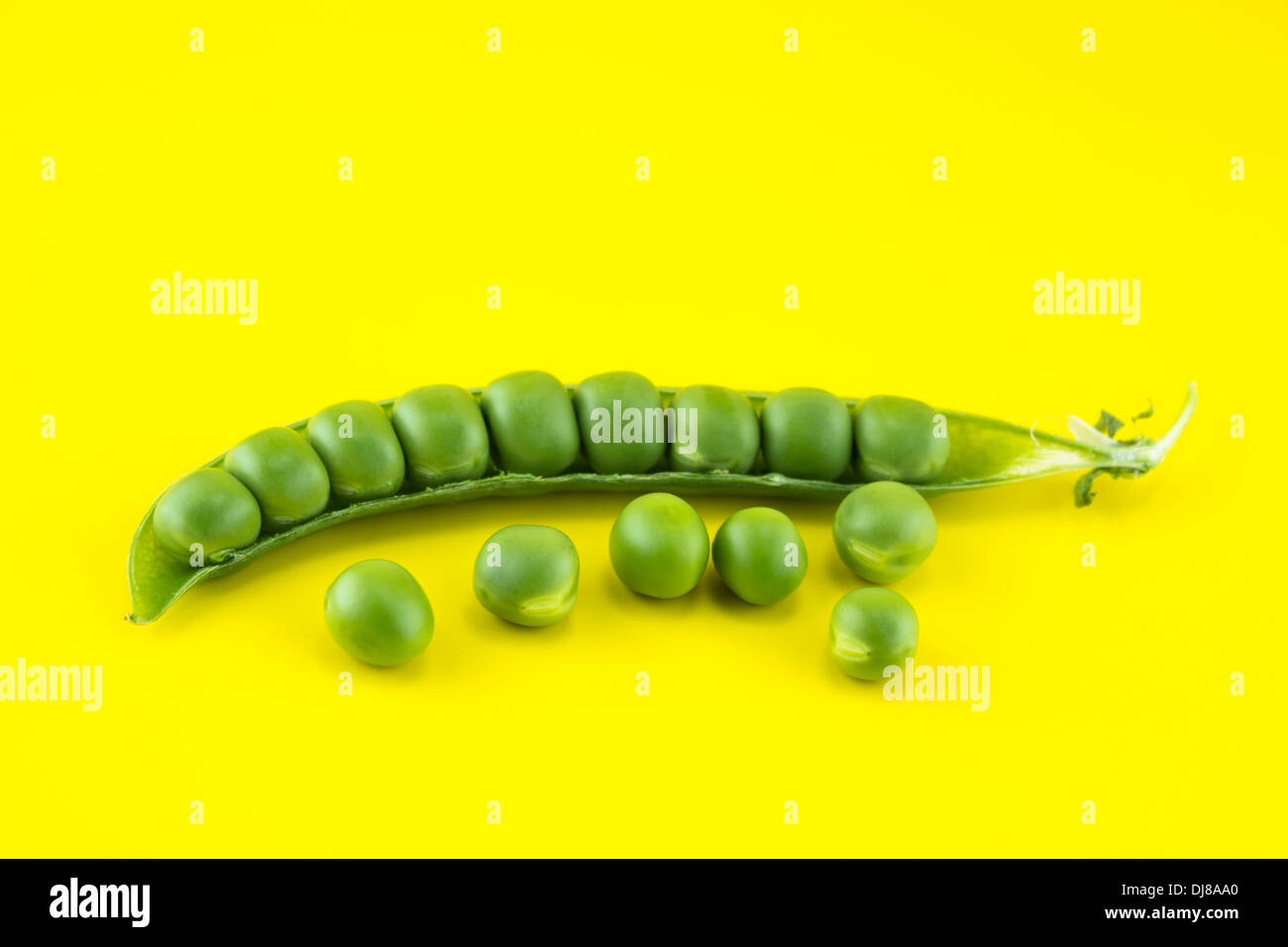 fresh pea fruit on yellow background Stock Photo - Alamy