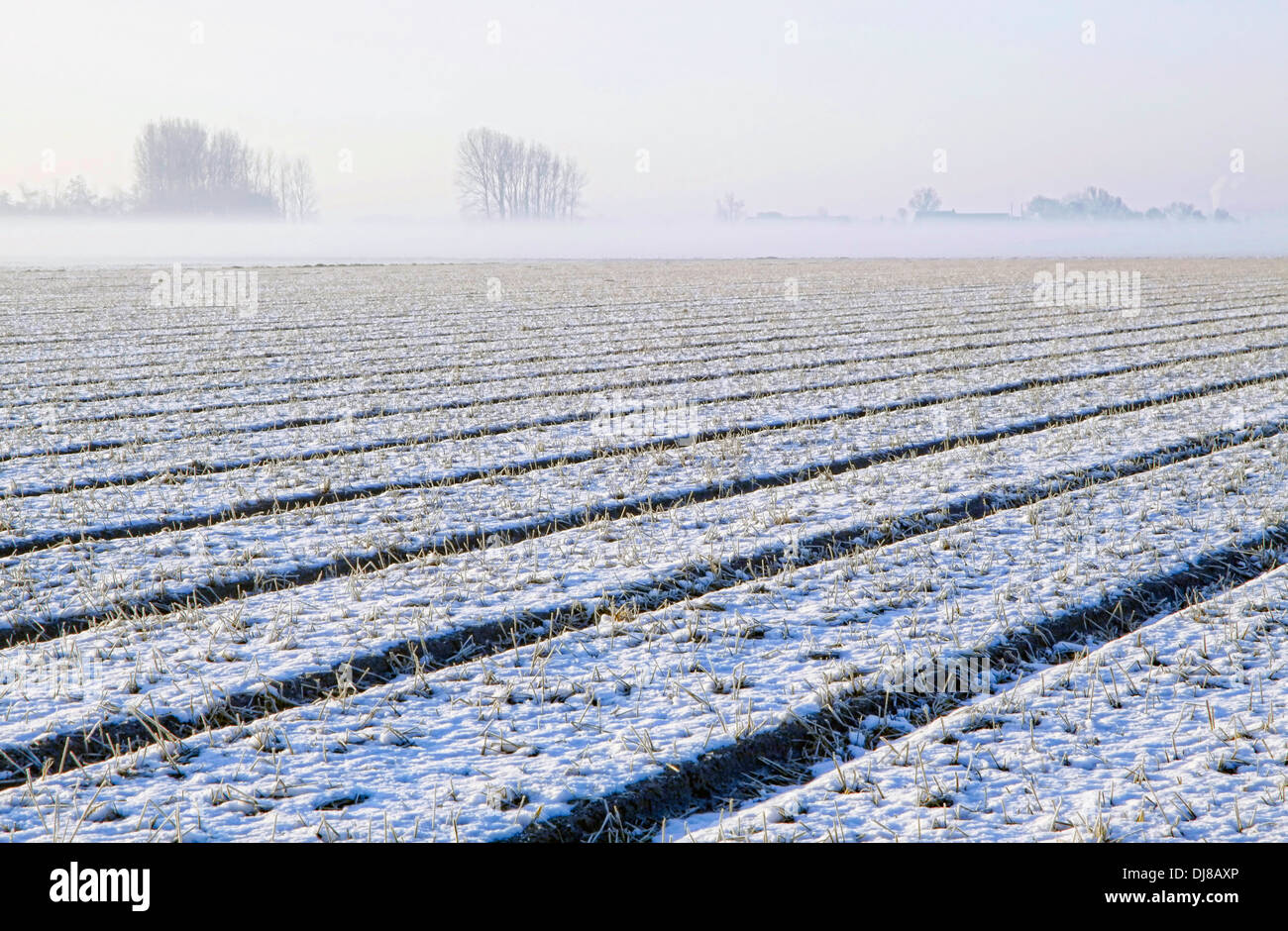 Dutch flat hi-res stock photography and images - Alamy