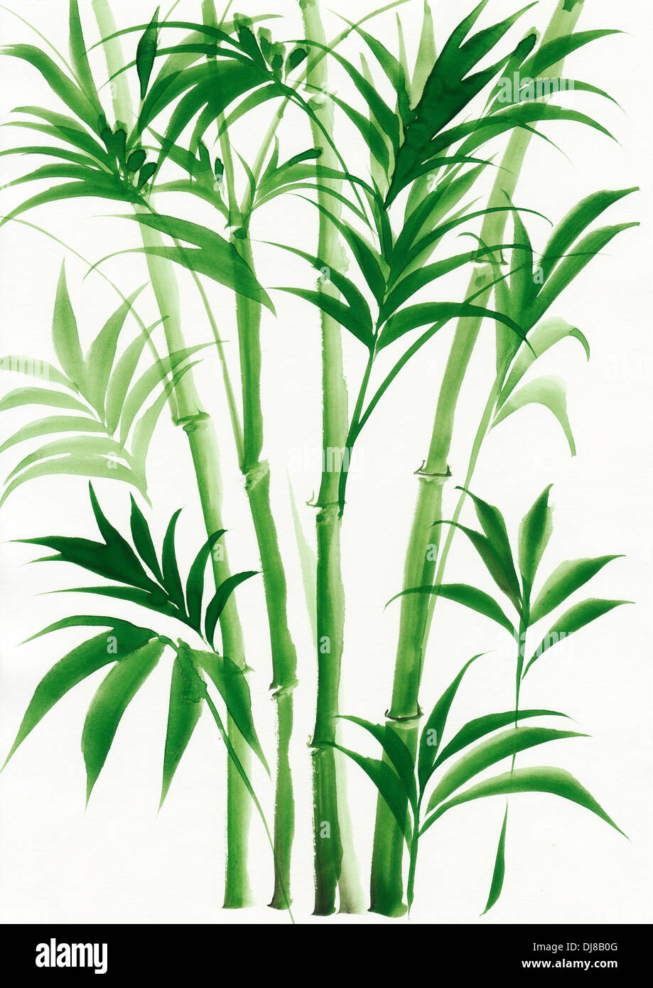 Original art watercolor painting bamboo hi-res stock photography and ...