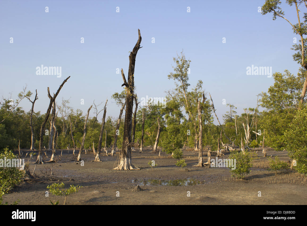 India tsunami hi-res stock photography and images - Alamy