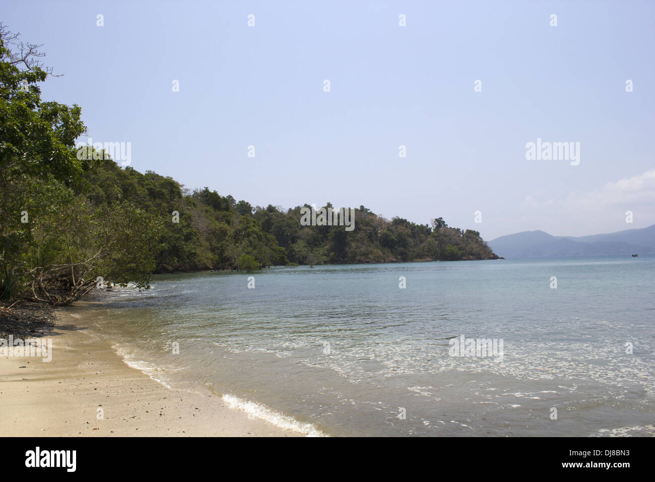 Shore at Chidya tapu. The littoral forest along Chidya tapu, India ...