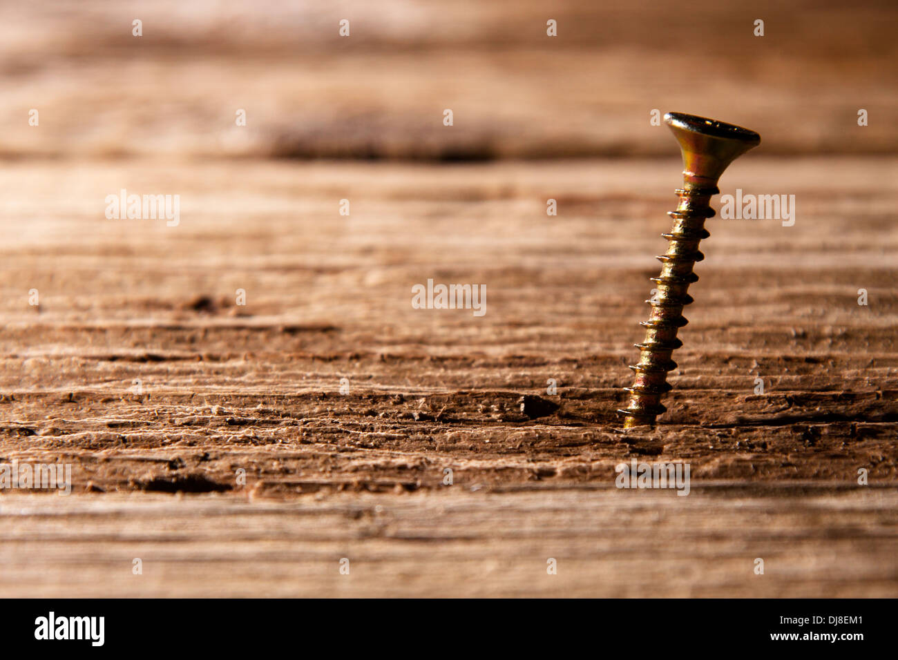 Screw in piece of old wood close up Stock Photo - Alamy