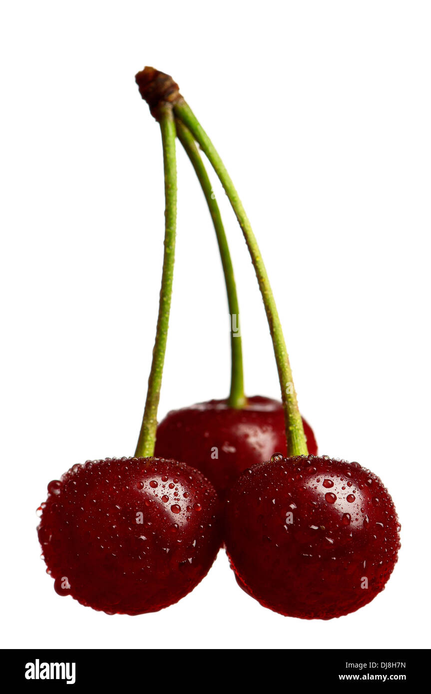 Close up cherries water Cut Out Stock Images & Pictures - Alamy