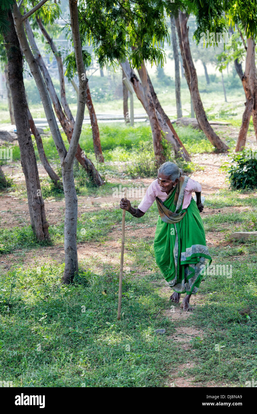 Old indian woman walking through trees. Andhra Pradesh, India Stock ...