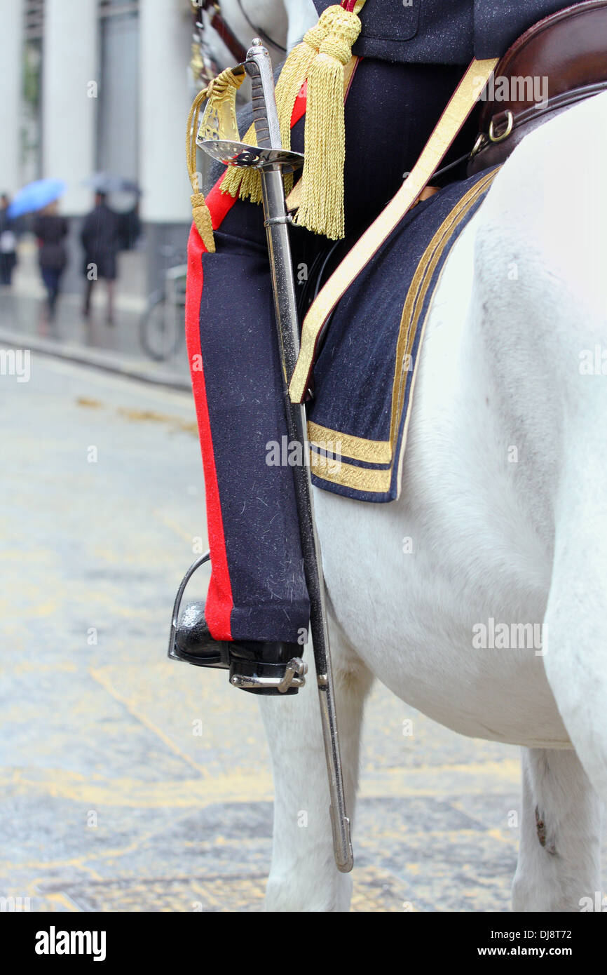 A horse rider in ceremonial dress during the Lord Mayor's show 2013 ...