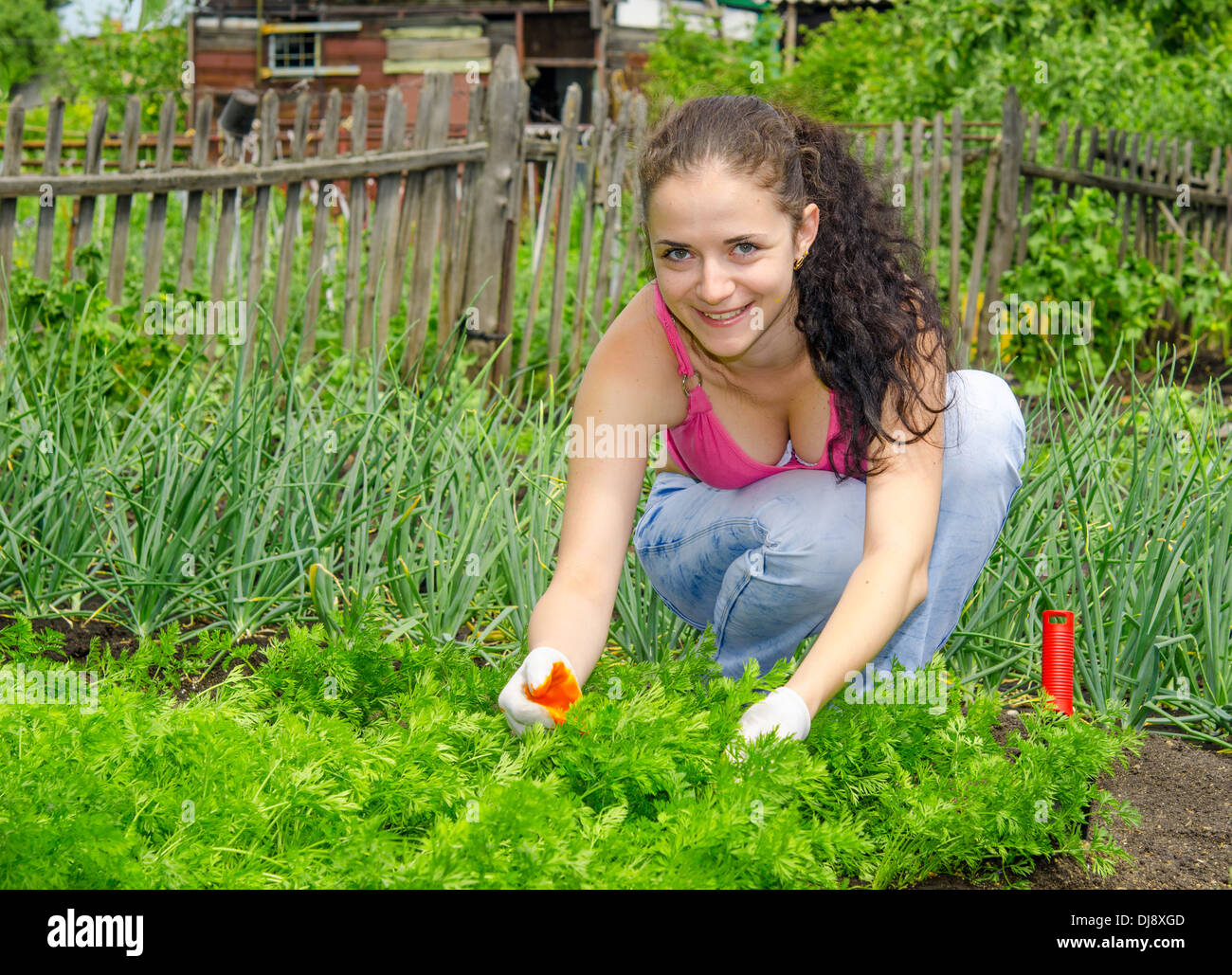 Young woman gardening hi-res stock photography and images - Alamy