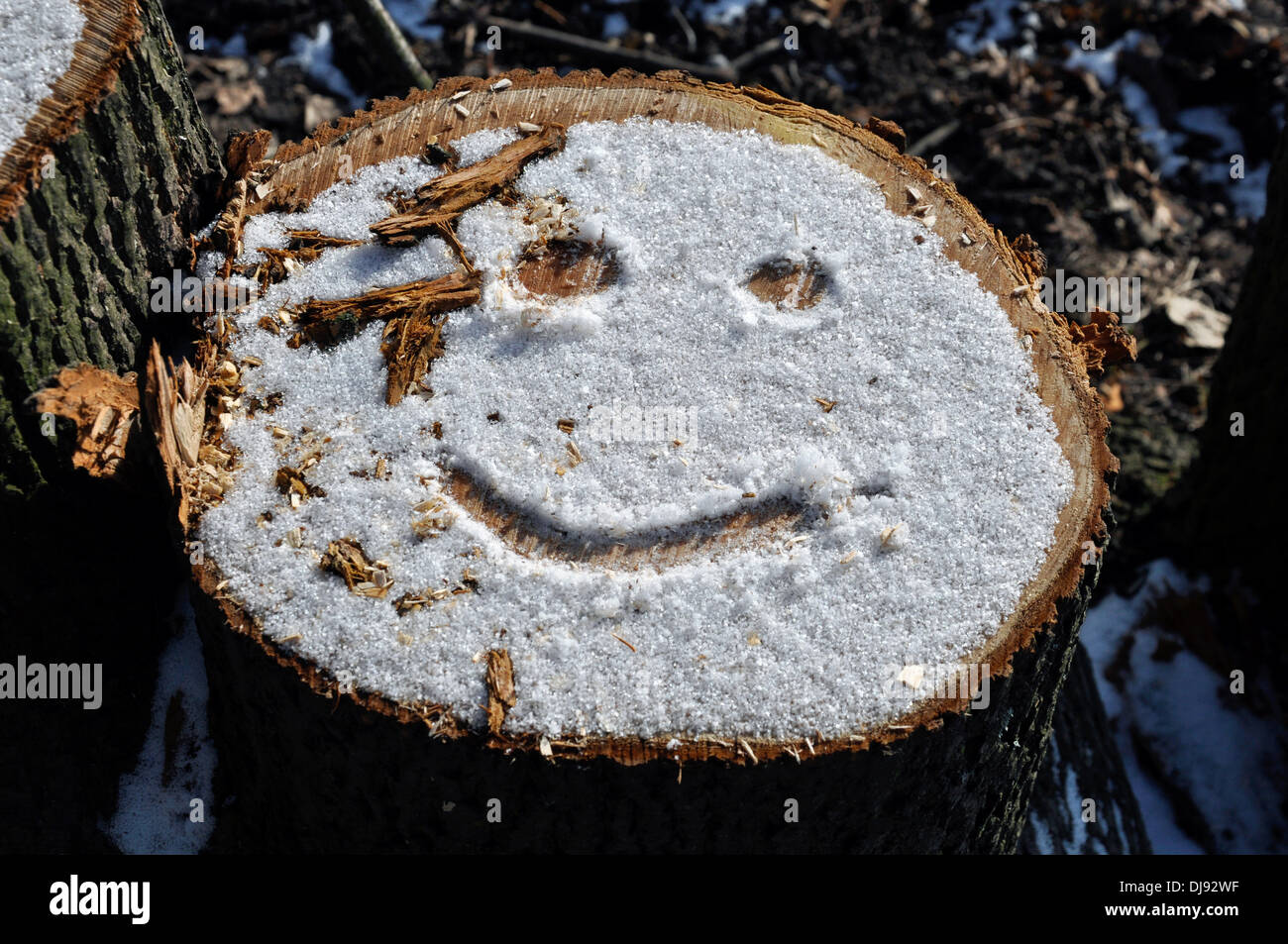 Smiley face on tree trunk hi-res stock photography and images - Alamy