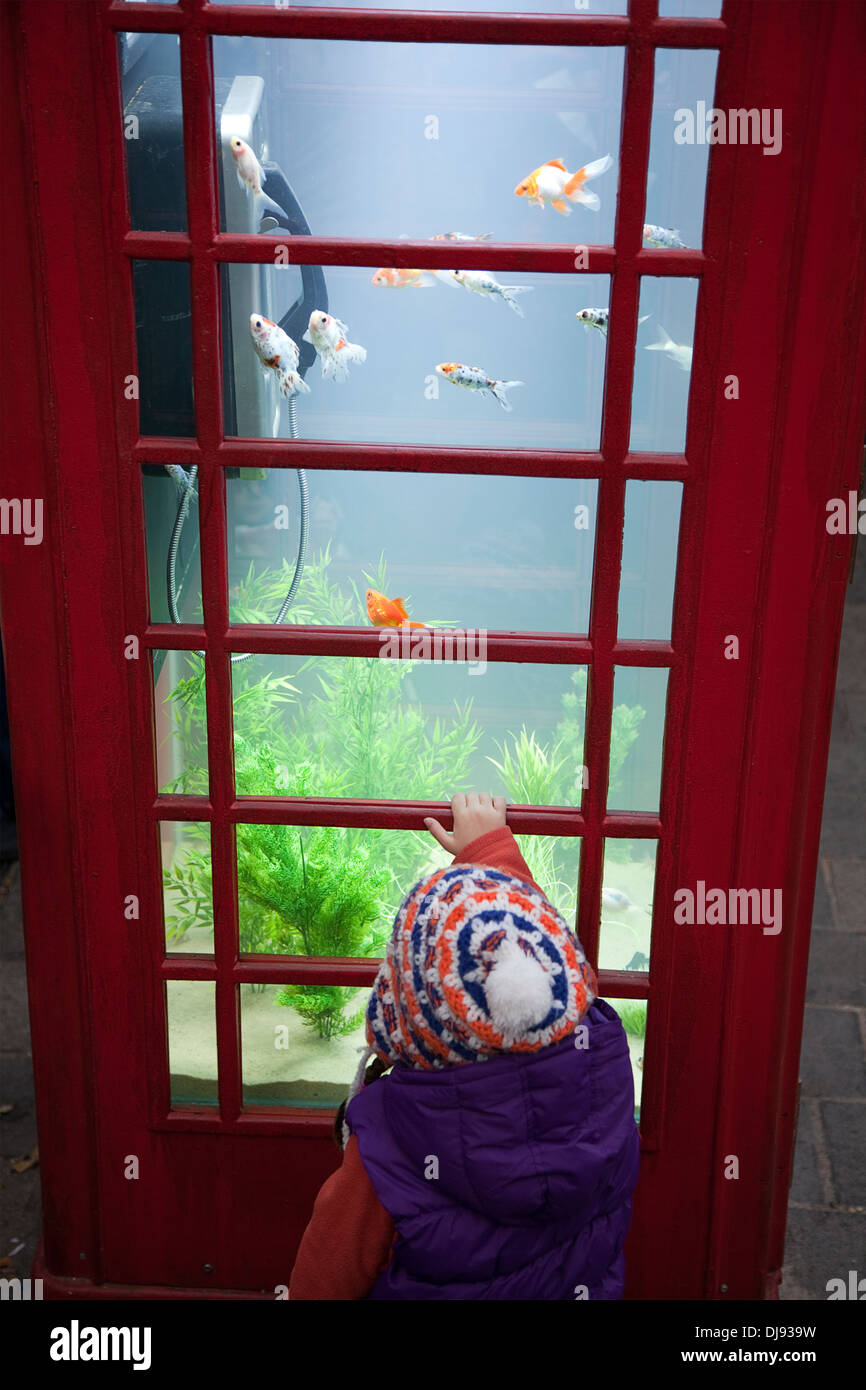 Telephone box aquarium hi-res stock photography and images - Alamy